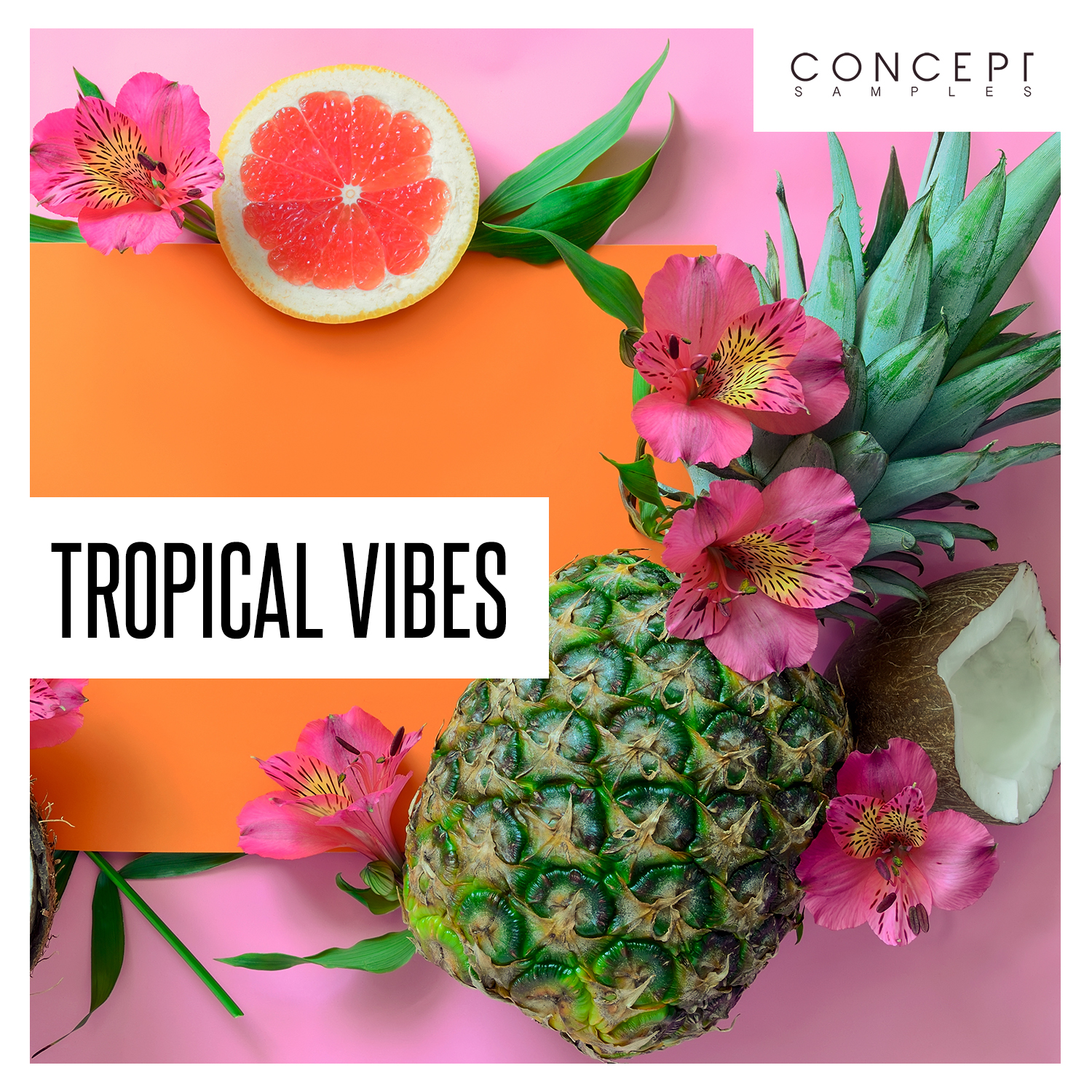 Tropical Vibes Download - Audio Loops