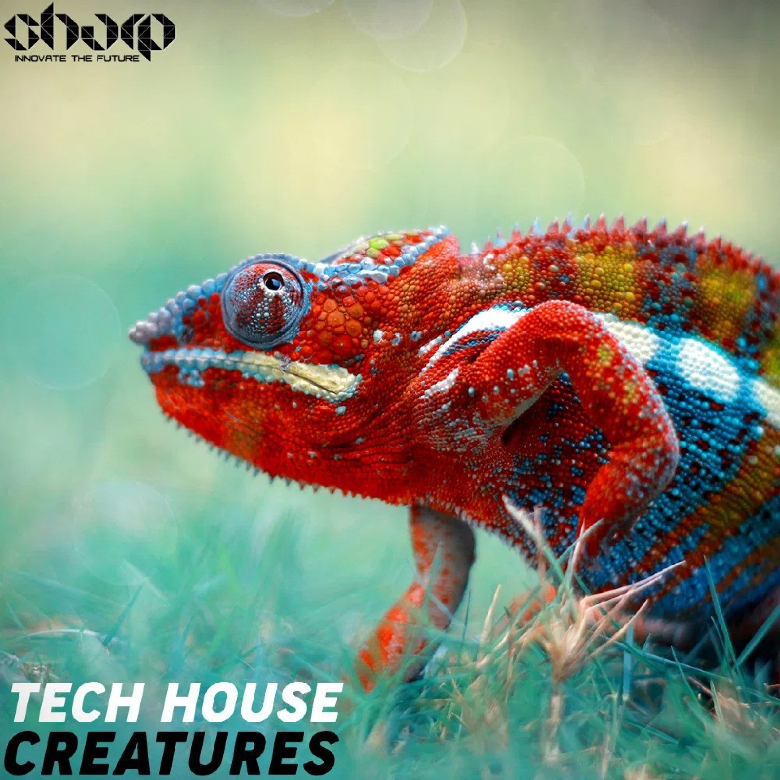 Tech House Creatures Download - Audio Loops