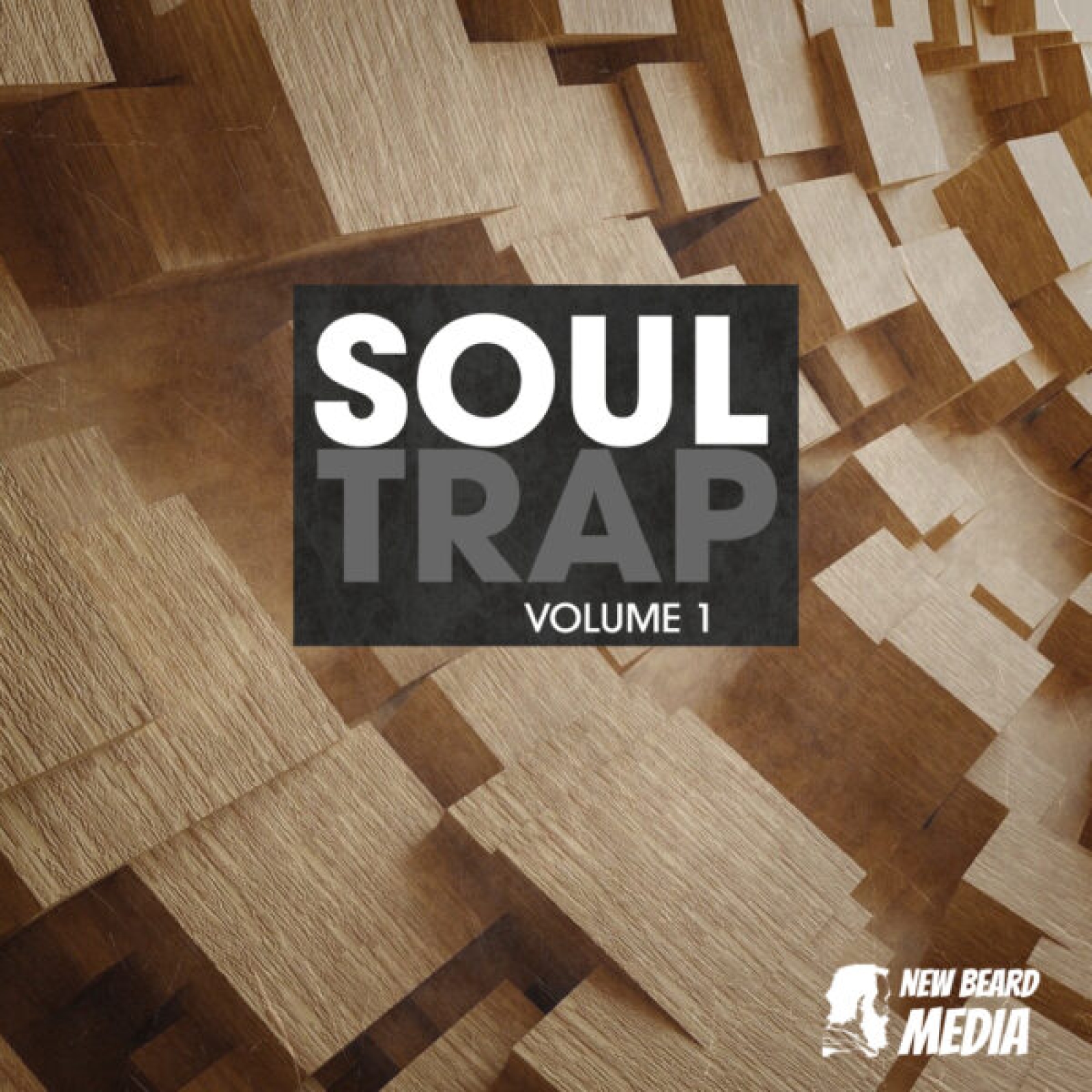 Soul Trap Vol 1 Download - Audio Loops